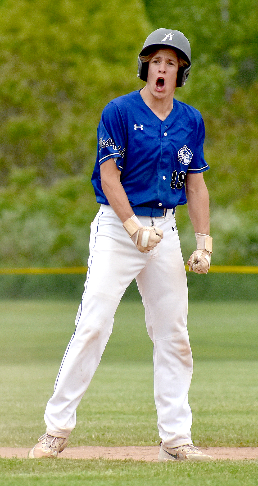 Falconer baseball walks off against Westfield in ‘C’ quarterfinals 4-3 ...
